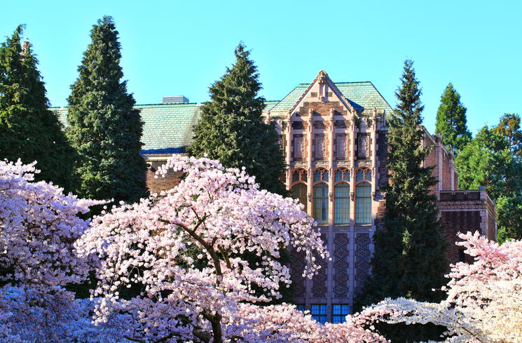 13. University of Washington-Seattle Campus