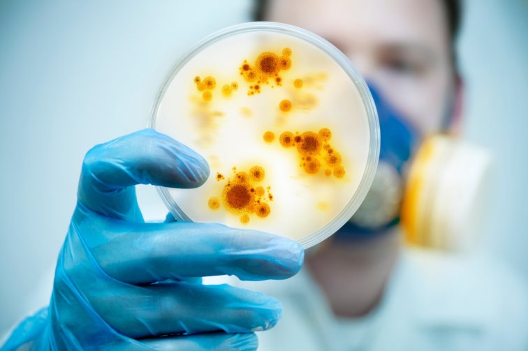 13. Miscellaneous biological sciences