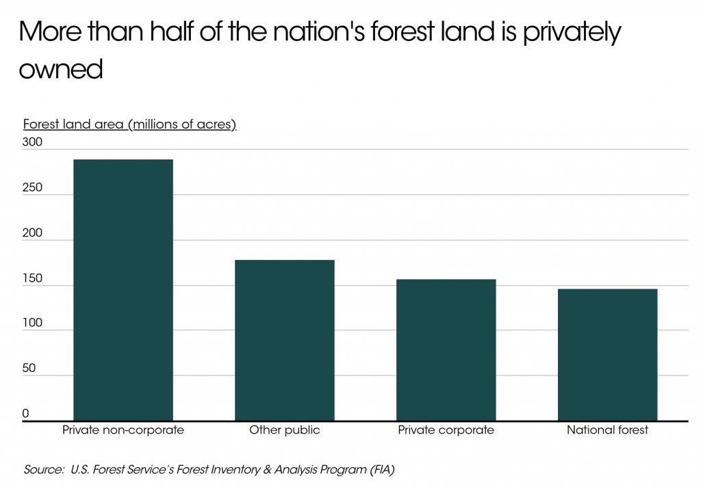 States Experiencing the Most Forest Growth