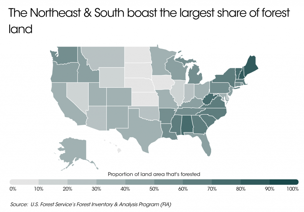 States Experiencing the Most Forest Growth